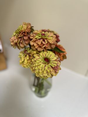 R A M FARMS PUMPKIN PATCH AND CORN MAZE - Updated January 2026 - 81 ...