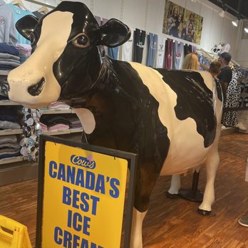 COWS - Updated July 2025 - 241 Photos & 122 Reviews - 44 Queen Street ...