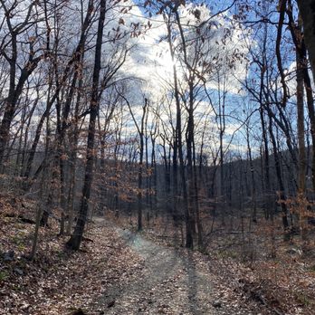 WARD POUND RIDGE RESERVATION - Updated October 2025 - 60 Photos & 25 ...