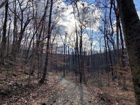 WARD POUND RIDGE RESERVATION - Updated November 2024 - 60 Photos & 24 ...