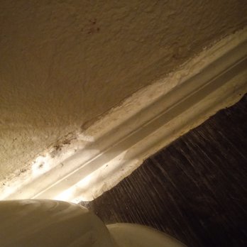 COLTER PARK - Updated June 2025 - 56 Photos - 909 W Colter St, Phoenix ...