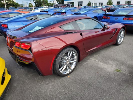 CIOCCA CORVETTE - Updated February 2025 - 164 Photos & 40 Reviews - 430 ...