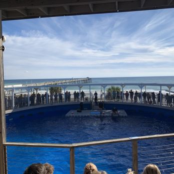 GULFARIUM MARINE ADVENTURE PARK - Updated 2024 - 502 Photos & 234 ...