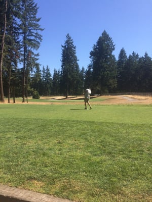 LAKE SPANAWAY GOLF COURSE - Updated October 2025 - 14 Photos & 20 ...