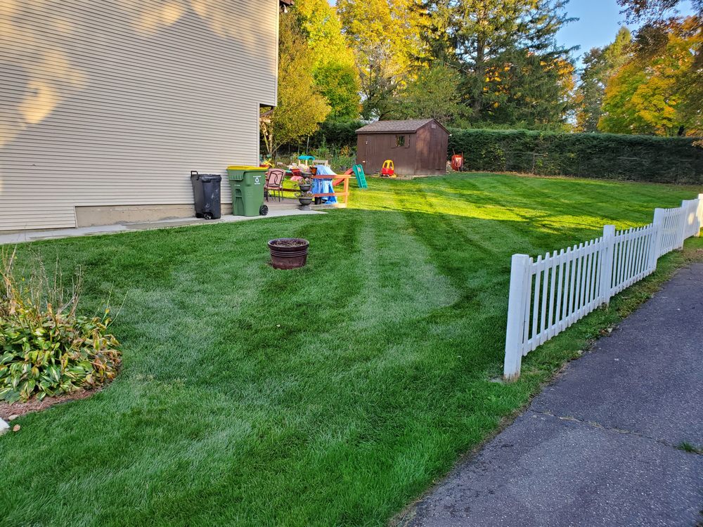 RILEY TREE & LANDSCAPING - Updated October 2025 - Naugatuck ...