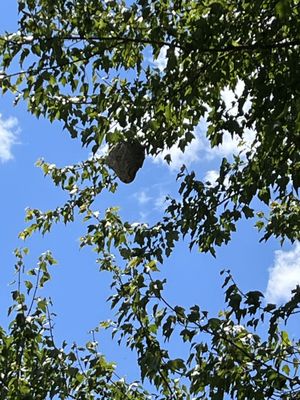 ARTERIX PEST CONTROL - Updated December 2025 - 36 Photos & 223 Reviews ...