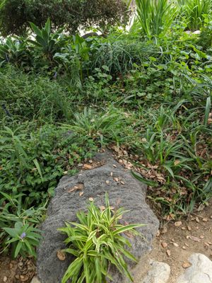 CATALINA VERDUGO ADOBE - 56 Photos & 12 Reviews - 2211 Bonita Dr ...