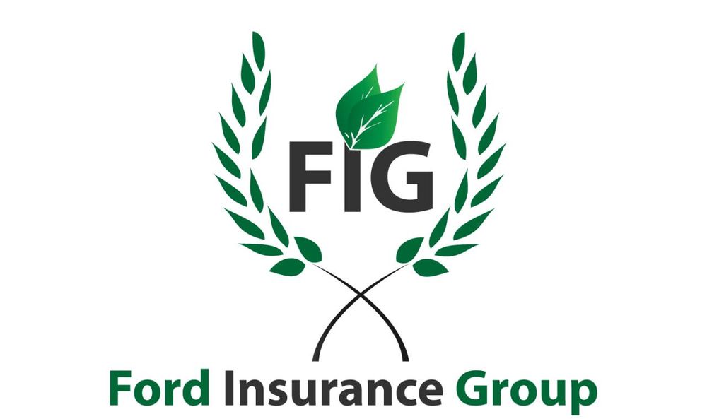 FORD INSURANCE GROUP - Updated July 2025 - Request a Quote - 8936 ...