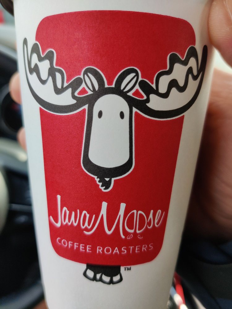 JAVA MOOSE - Updated June 2025 - 10 Photos & 10 Reviews - 84 Prince ...