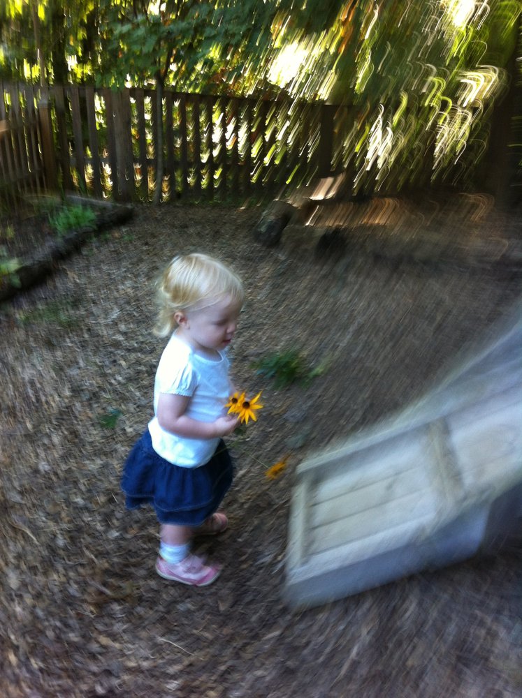 Acorn Hill Waldorf Kindergarten Nursery 17 Photos Preschools