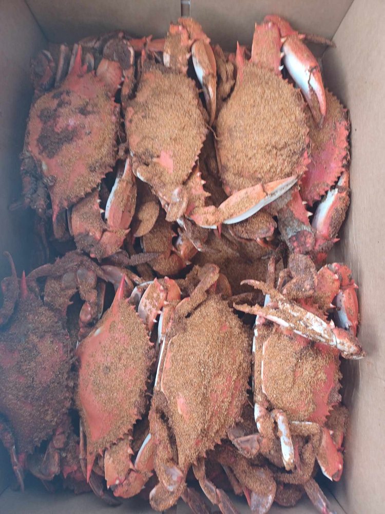 Florida Blue Crab Company Updated May 2025 1558 5th Ave Deland Florida Seafood Markets