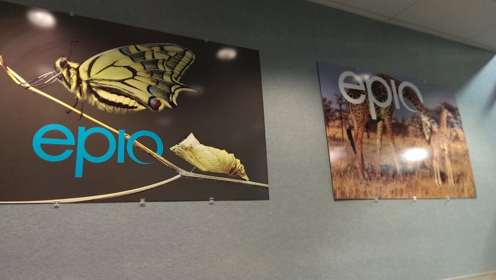 EPIQ SYSTEMS - Updated January 2025 - 10300 SW Allen Blvd, Beaverton, Oregon - Bankruptcy Law ...