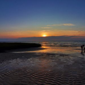 LONG NECK BEACH - Truro, MA - Yelp
