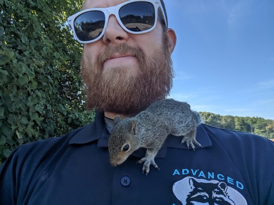 ADVANCED WILDLIFE AND PEST CONTROL - Updated December 2025 - 37 Photos ...