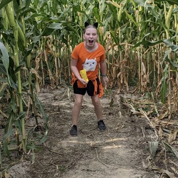 PICHA FARMS - Updated October 2025 - 68 Photos & 38 Reviews - 6502 52nd ...