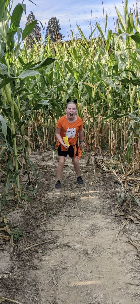 PICHA FARMS - Updated August 2025 - 68 Photos & 38 Reviews - 6502 52nd ...