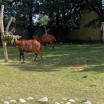 ROOSEVELT PARK ZOO - Updated September 2025 - 39 Photos & 15 Reviews ...