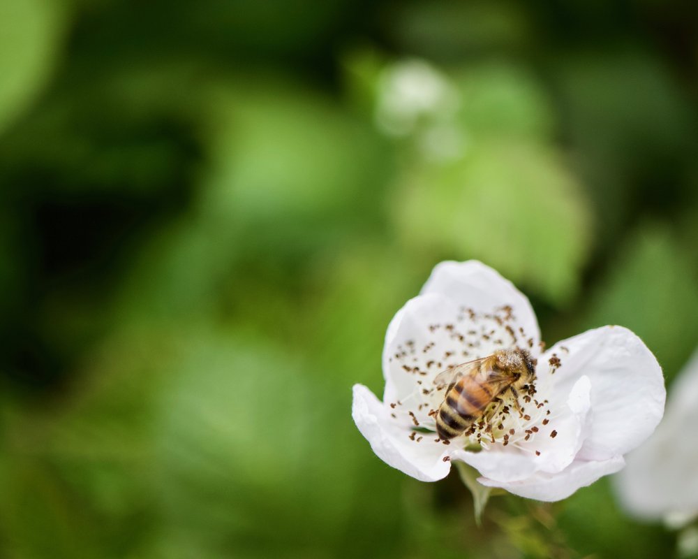 CRYSTAL BAY FARM - 139 Photos & 62 Reviews - 40 Zils Rd, Watsonville ...