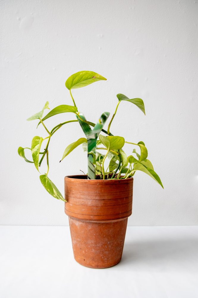 BRAZEE STUDIOS - Updated July 2025 - 38 Photos & 19 Reviews - 4426 ...