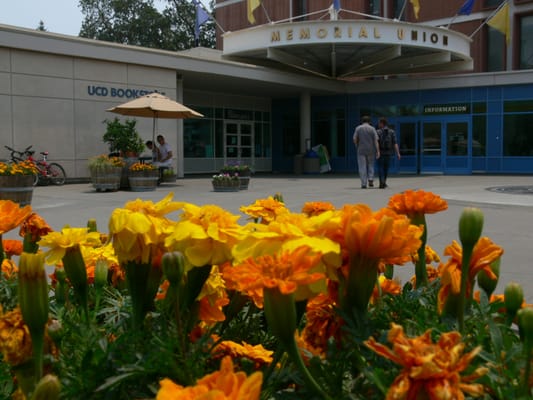 UC DAVIS MEMORIAL UNION STORE - Updated December 2025 - 11 Photos - 1 ...