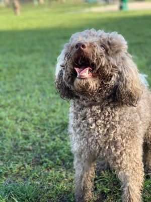 MAYOR ROSCOE WARREN MUNICIPAL PARK - 71 Photos & 12 Reviews - 1400 E ...