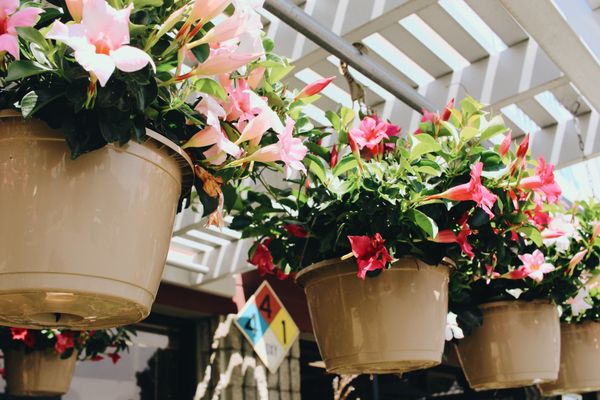 GRANGETTO’S FARM & GARDEN SUPPLY - Updated May 2025 - 15 Photos & 23 ...