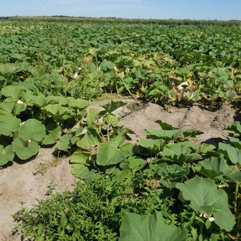 EXPLORATION ACRES - Updated October 2025 - 83 Photos & 34 Reviews ...