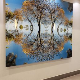 Fairwinds Credit Union Reviews | Read Customer Service Reviews of ...