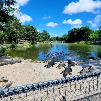 EVERGLADES ALLIGATOR FARM - Updated April 2025 - 872 Photos & 312 ...