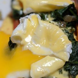 NOOSH NOSH - Updated September 2025 - 418 Photos & 251 Reviews - 4816 ...