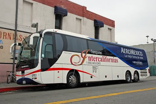 INTERNATIONAL BUS LINES - Updated December 2025 - 15 Photos & 11 ...