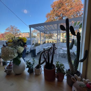 CAFÉ DEAR LEON - Updated May 2024 - 738 Photos & 281 Reviews - 2929 O ...