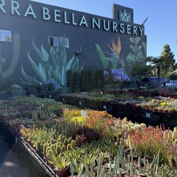 TERRA BELLA NURSERY - Updated February 2025 - 386 Photos & 132 Reviews - 3535 Camino Del Rio W ...