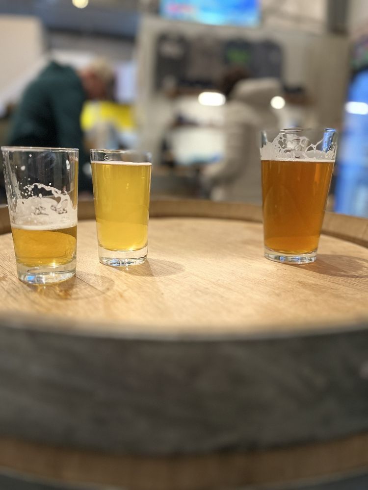 MODEST ROOTS BREWING CO. - Updated December 2025 - 17 Photos & 10 ...