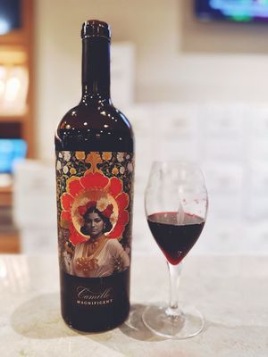 COOPER’S HAWK - Updated December 2025 - 55 Photos & 15 Reviews - 6194 ...