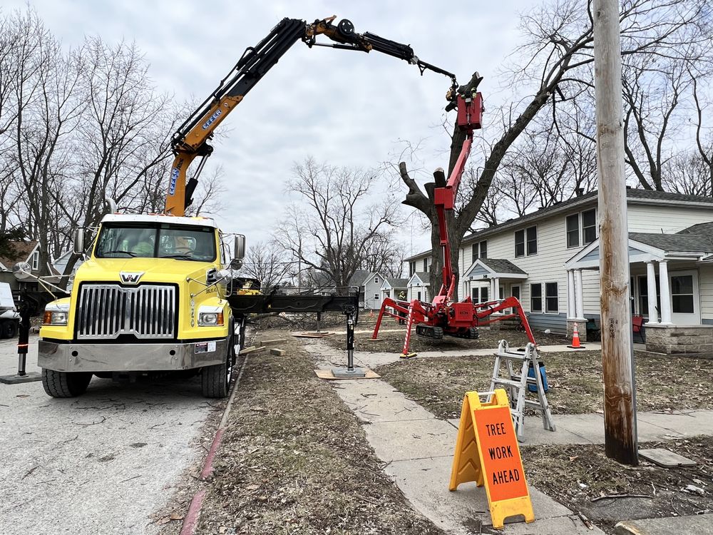 OAK BROS TREE CARE & REMOVAL - Updated December 2025 - 15 Photos ...