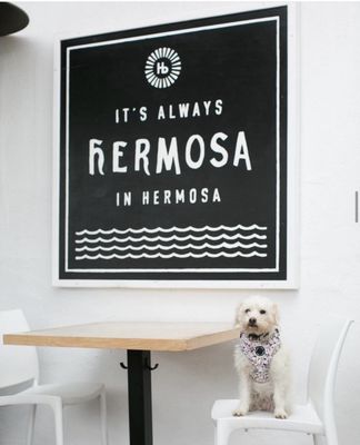 MARTHA’S - Updated November 2025 - 1224 Reviews & 1138 Photos - 25 22nd ...