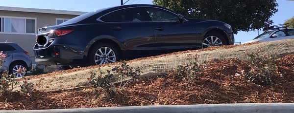 JIM CLICK MAZDA EAST - Updated November 2025 - 24 Photos & 90 Reviews ...