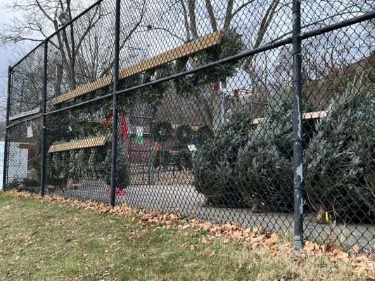 KEYSTONE OAKS MARCHING BAND TREE SALE - 1801 Dormont Ave, Pittsburgh ...