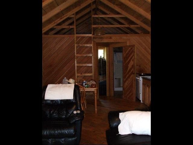 SEMINARY CANOE RENTAL - Updated July 2025 - 152 S C R Ln, Seminary ...