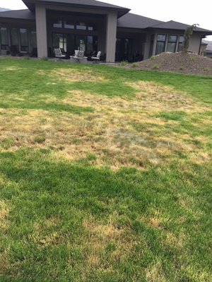 ALL PRO LAWN SERVICE - Updated June 2026 - 29 Photos & 71 Reviews ...