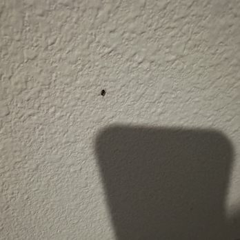 BELLE SPRING BRANCH - Updated December 2025 - 66 Photos & 14 Reviews ...