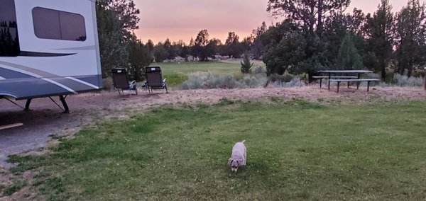 LIKELY PLACE RV PARK & GOLF - Updated July 2025 - 45 Photos & 28 ...