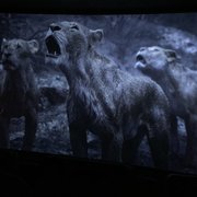 CINEMARK PERKINS ROWE AND XD - 59 Photos & 54 Reviews - 10000 Perkins ...