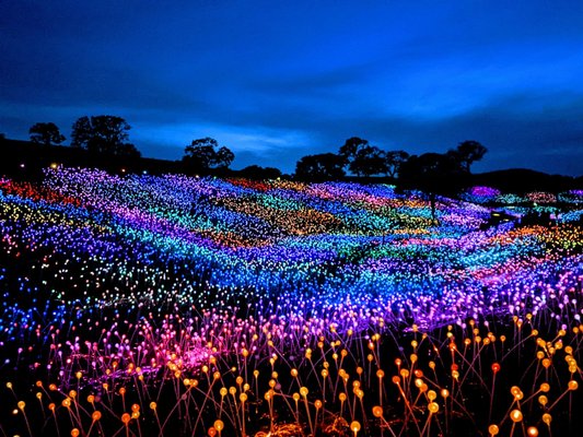 SENSORIO - 1913 Photos & 403 Reviews - 4380 Hwy 46 E, Paso Robles, CA ...