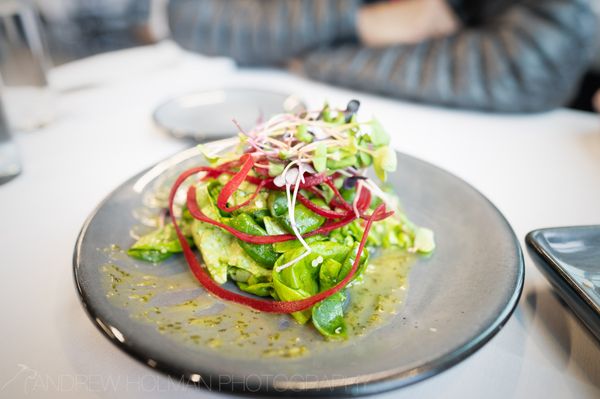 ADDIE CAMP - Updated December 2025 - 237 Photos & 111 Reviews - 43550 ...