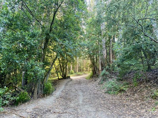 BERKELEY FIRE TRAILS - Updated September 2025 - 459 Photos & 109 ...