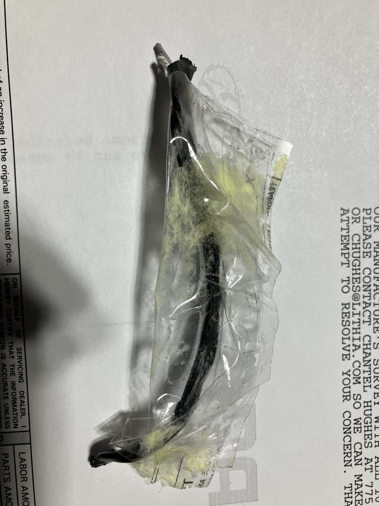 ENGLAND’S ELITE PEST SERVICES - Updated December 2025 - 15 Reviews ...