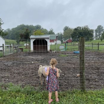 MARY’S LAND FARM - Updated September 2024 - 141 Photos & 46 Reviews ...