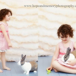 RICK MORLEY PHOTOGRAPHY - Updated 2024 - 2330 NE 120th St, Seattle ...